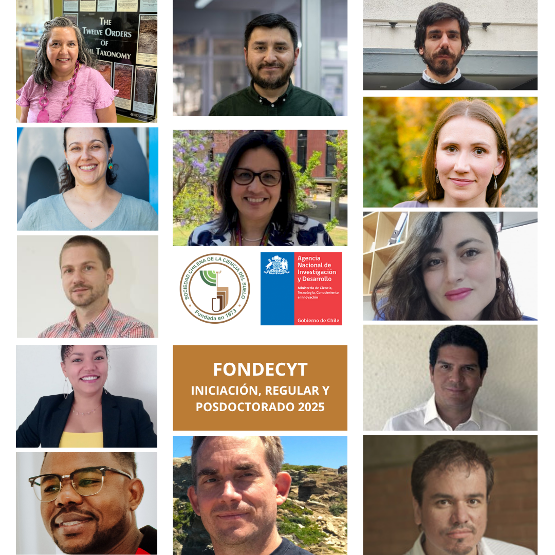 Impulso a la ciencia del suelo en Chile: 13 nuevos Fondecyt 2025 - Sociedad Chilena de la ...